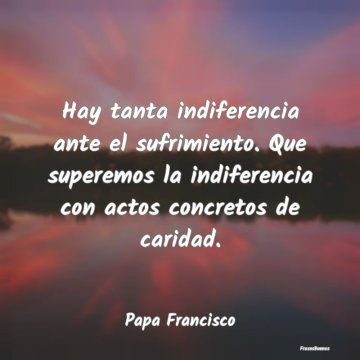 Frases Papa Francisco - Hay tanta indiferencia ante el sufrimien