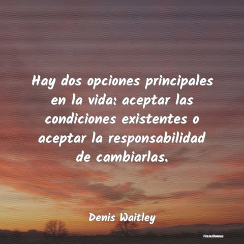 Frases de Denis Waitley - Hay dos opciones principales en la vida: