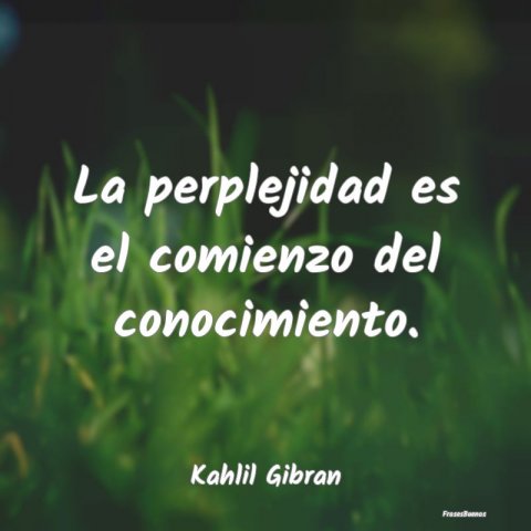 Frases de Yibrán Jalil Yibrán - La perplejidad es el comienzo del conoci