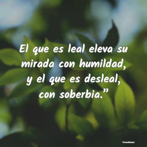 El que es leal eleva su mirada con humil